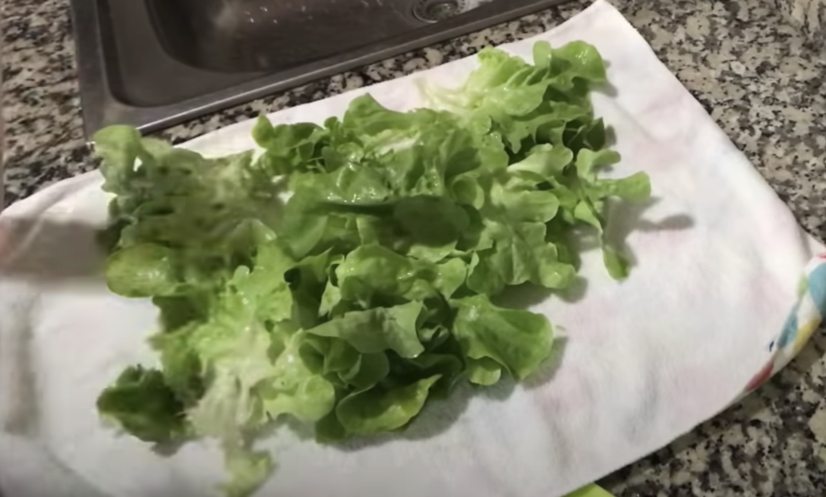Cómo conservar la lechuga fresca más tiempo y tenerla lista para ...